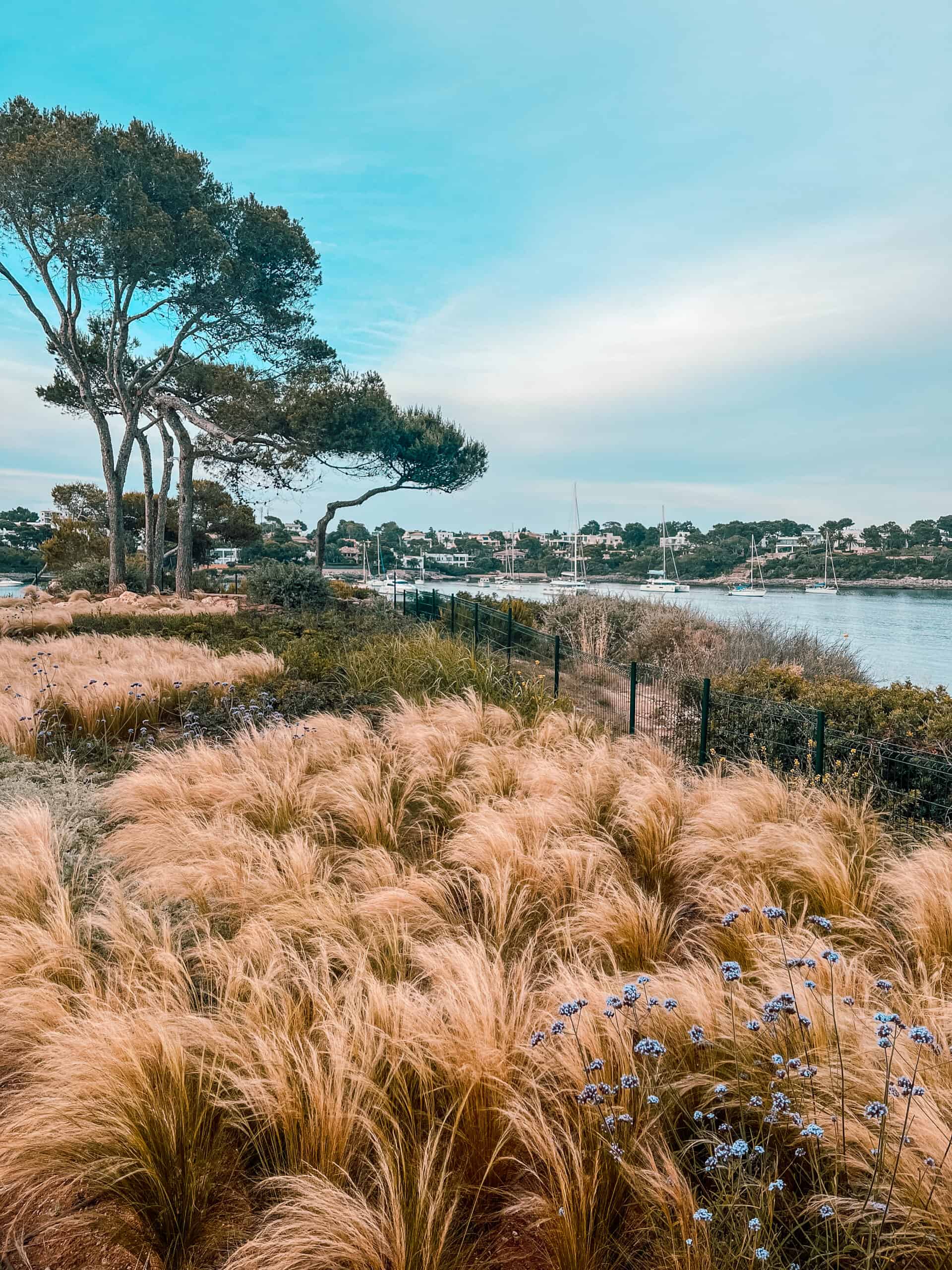 Das Ikos-Resort in Porto Petro – Mallorca Momente